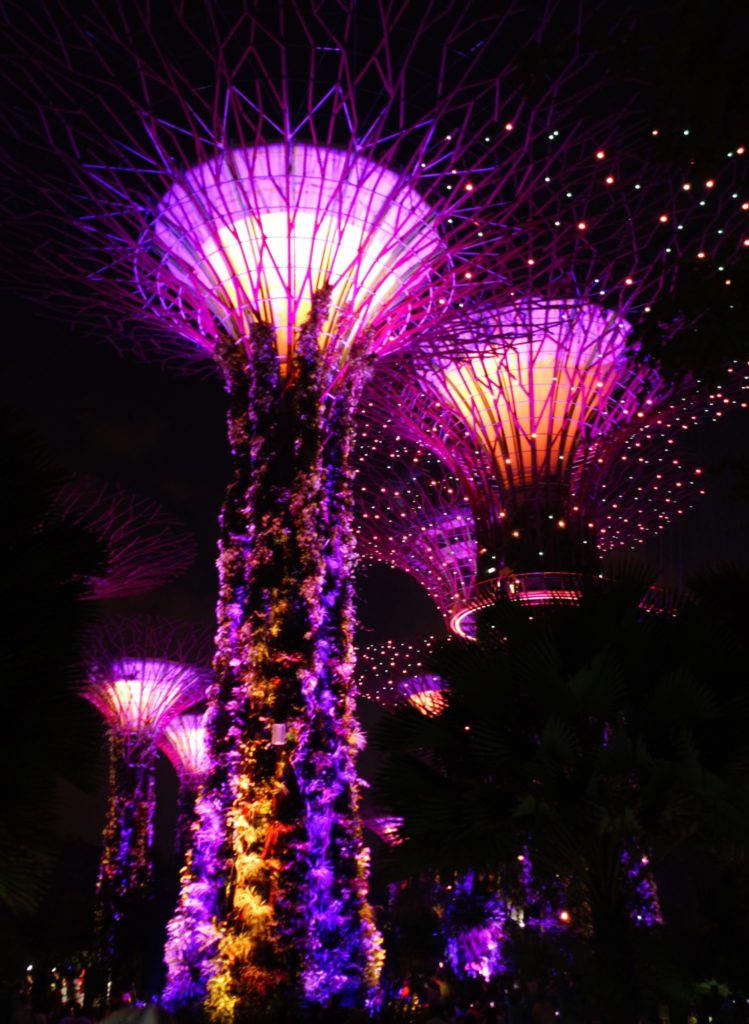 Singapore, incroyable Gardens by the Bay – Carnets de Voyages